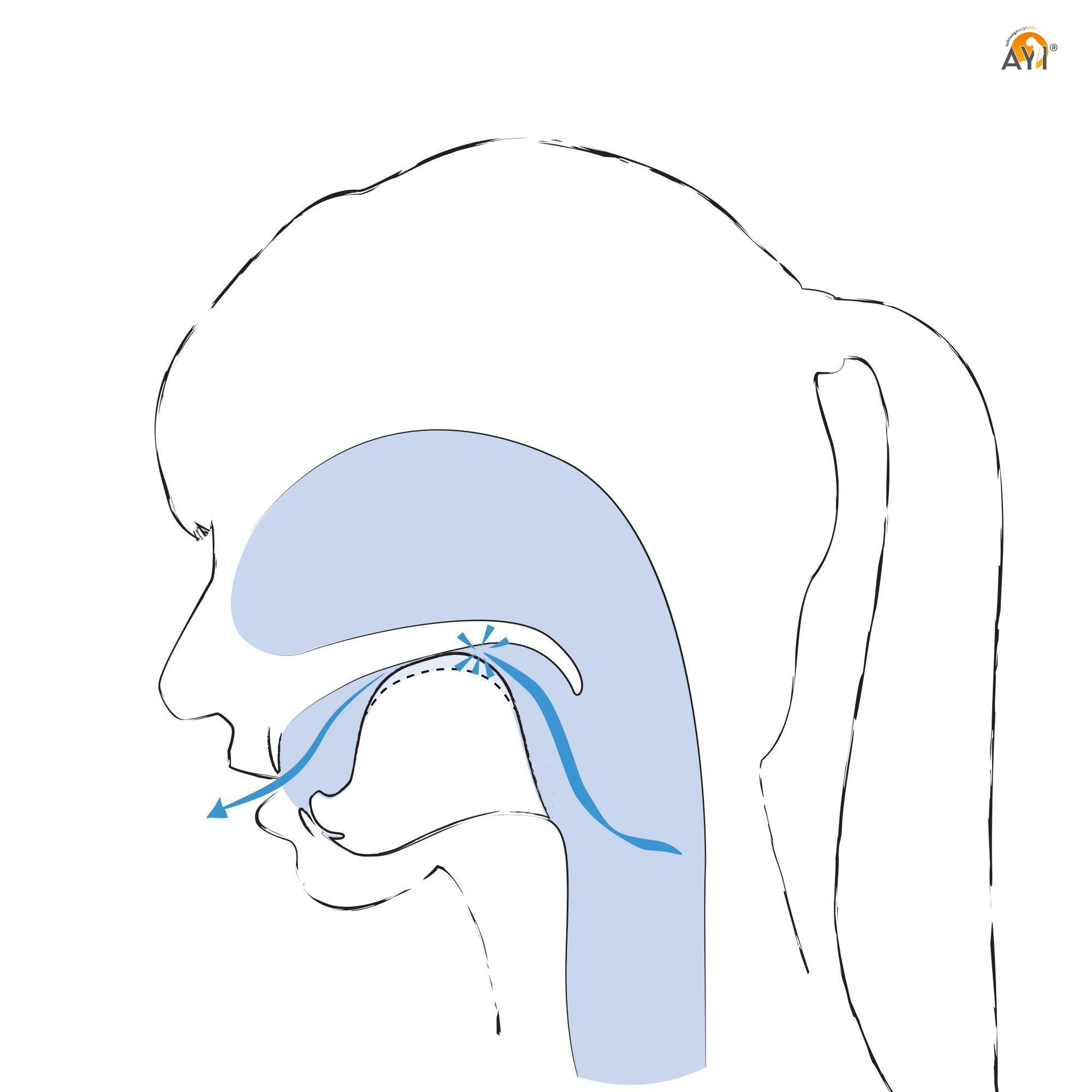 Plosives - AshtangaYoga.info