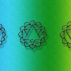 Magazine: The world of Ashtanga Yoga - AshtangaYoga.info